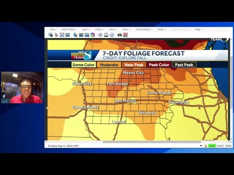 Fall colors in Iowa: Here's the foliage forecast and the science behind it