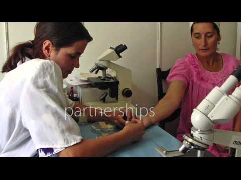 The World Bank Foundations Program