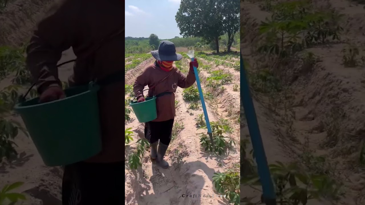 Targeted Plant Fertilization in the Root Zone : Maximum Results with Minimal Costs