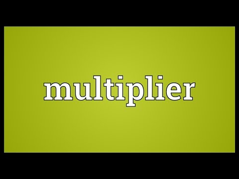 Multiplier Meaning
