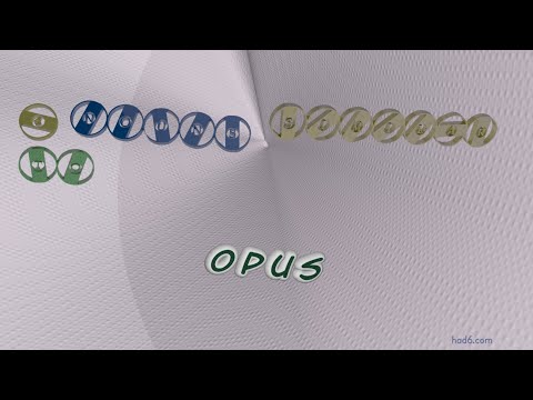 opus - 4 nouns with the meaning of opus (sentence examples)