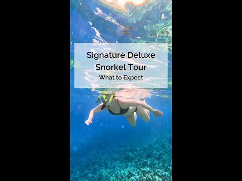 Signature Deluxe Snorkel Tour: What to Expect
