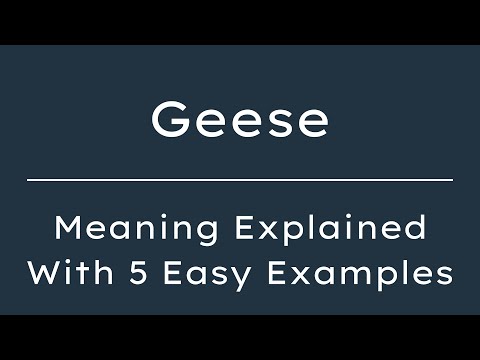 What Does Geese Mean? Geese Meaning in English With 5 Example Sentences