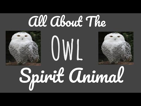 🌹🌙 THE OWL SPIRIT🌙🌹The Owl as your Spirit Animal & its Symbolism