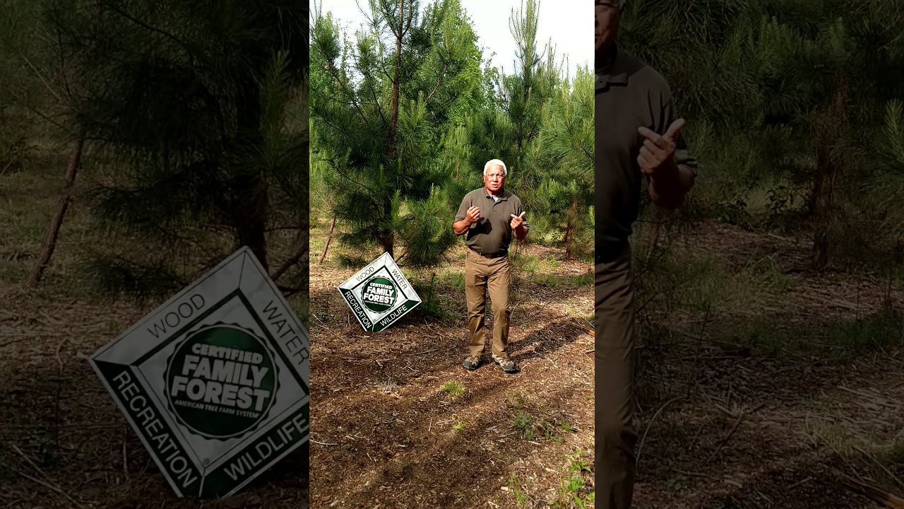 President’s Message: “Springing Forward” | May 2021