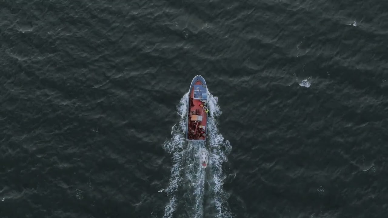 Live Wallpaper 4K Wonderful Sea Boat