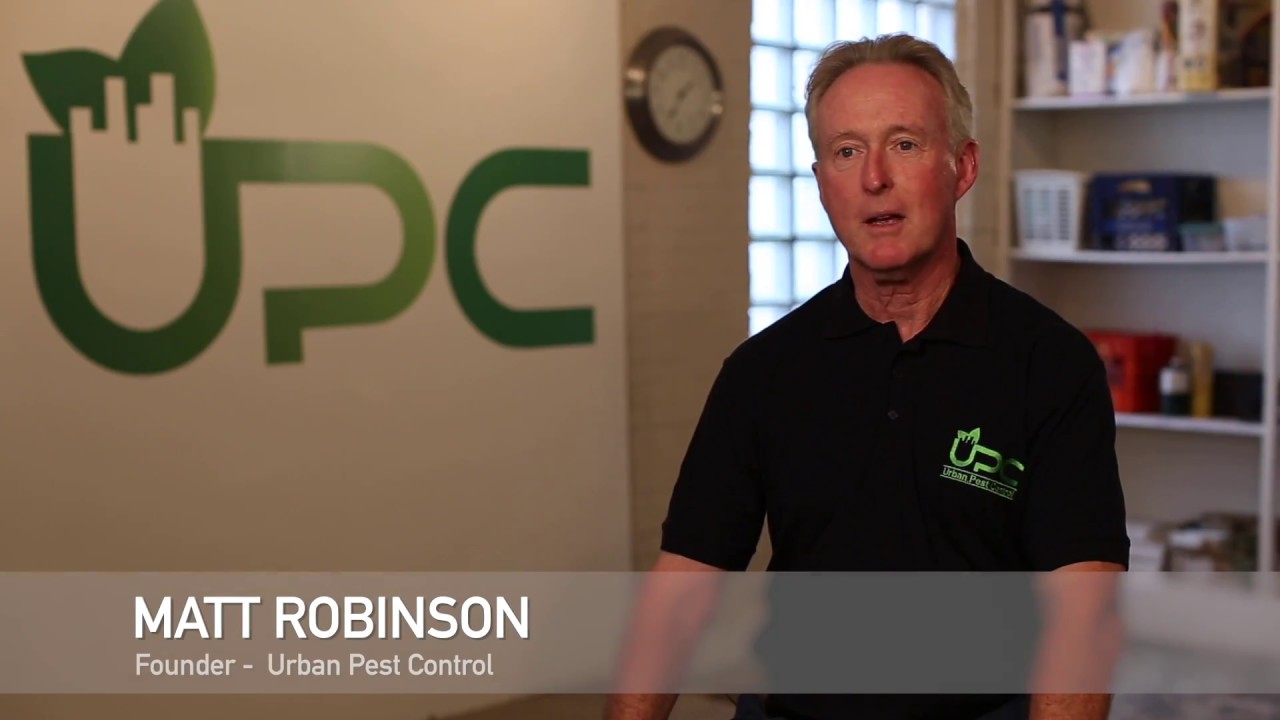 Urban Pest Control Introduction