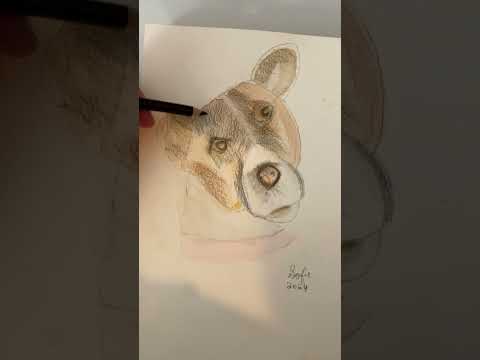 My dog picture! #artwork #mixedmedia #prismacolor #dog #watercolor