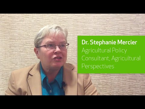 Why is agriculture so important for the SDGs?