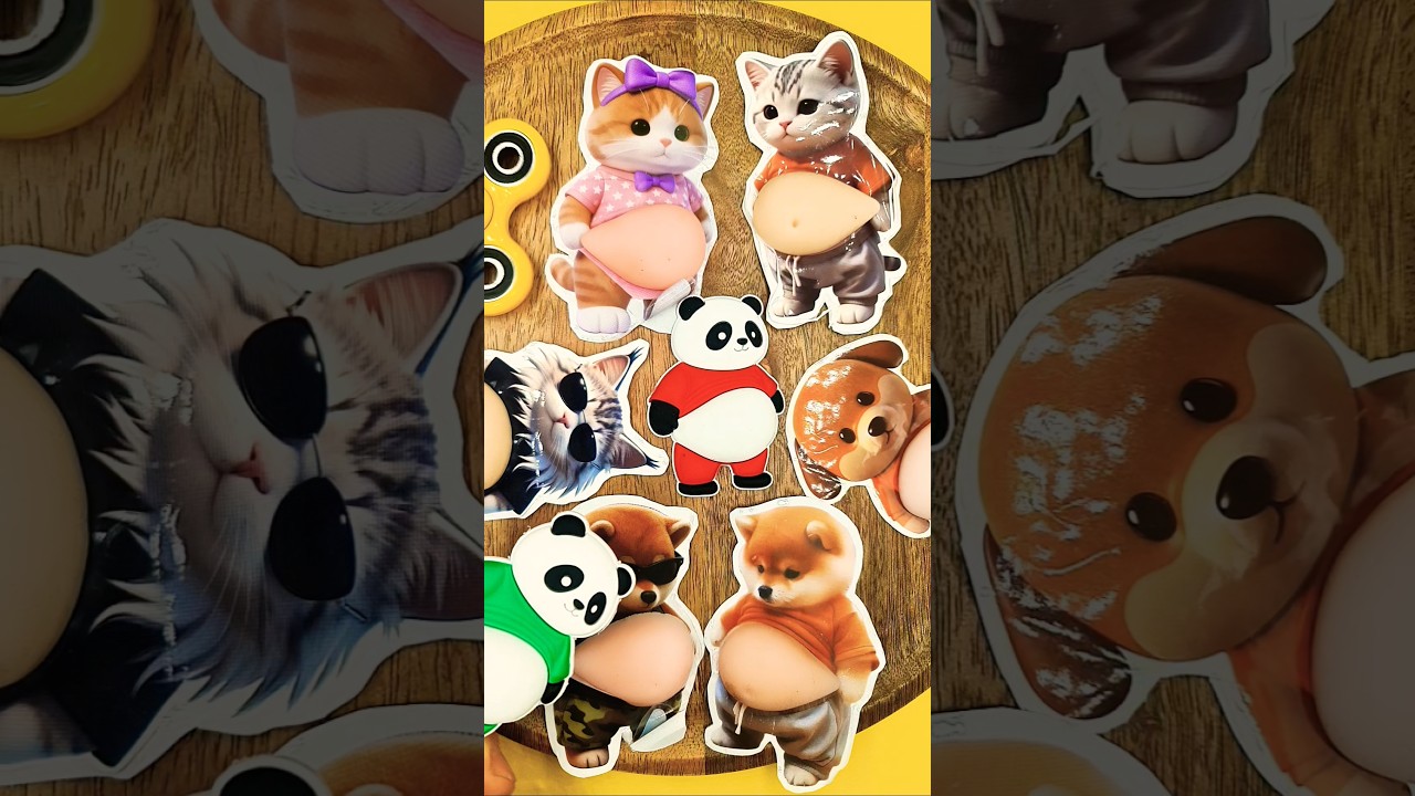 Bye, Bye, Bye! 🤣 💩 🐼 🐶 🐱 #funny #corgi #byebye #shorts