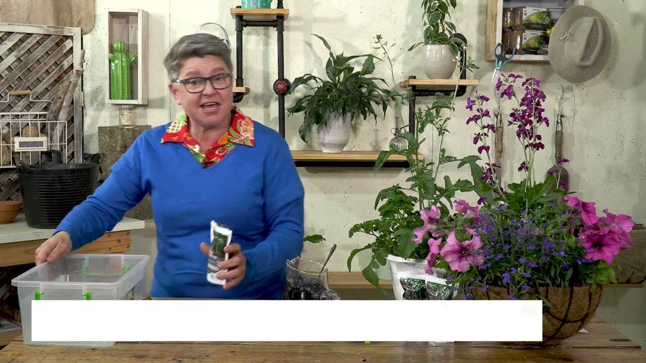 Starke Ayres Hydrocache