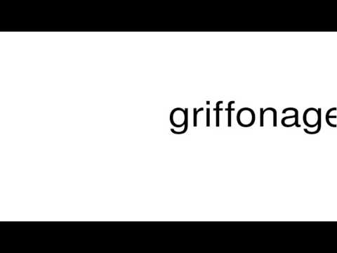 How to pronounce griffonage