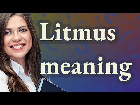 Litmus | meaning of Litmus