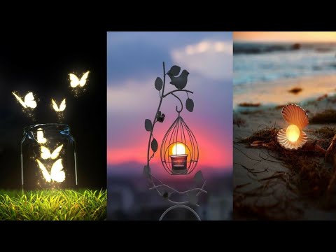 Nature whatsApp Dp profile picture s