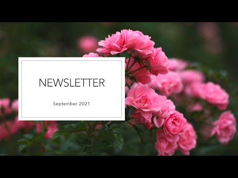 Teaser for Newsletter September 2021