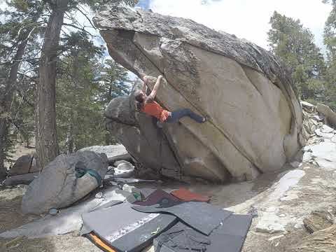 My Infested Destiny, V7. Tramway.