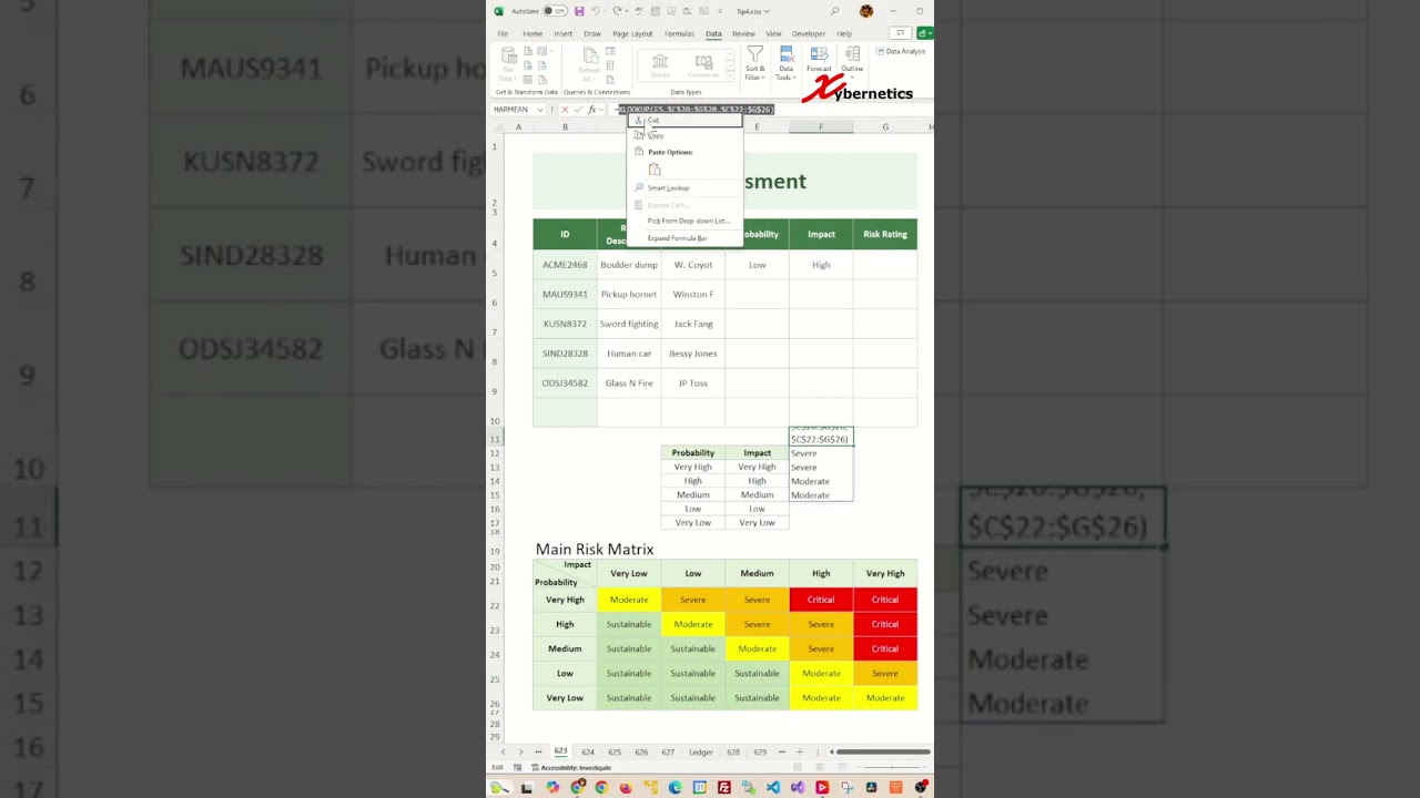Risk Assessment Matrix in Excel - Excel Tips and Tricks