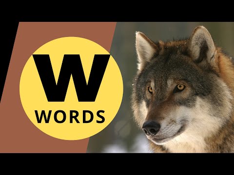 Words That Begin With W Sound - Learn Words That Begin With W