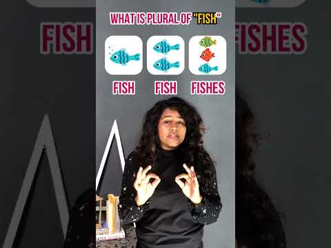 WHAT is the PLURAL of FISH? #shorts #english #plurals