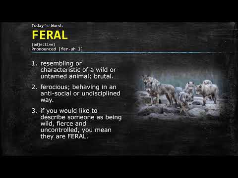 Word of the Day: FERAL
