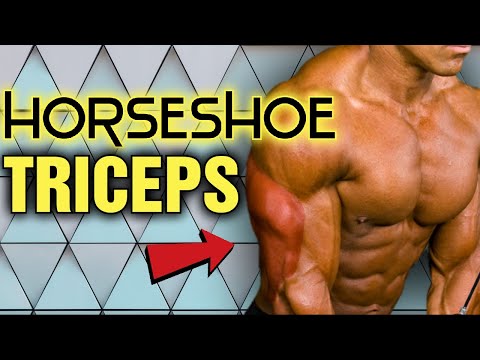 Build Horseshoe Triceps || Best and Worst Exercises For Optimal Tricep Growth!