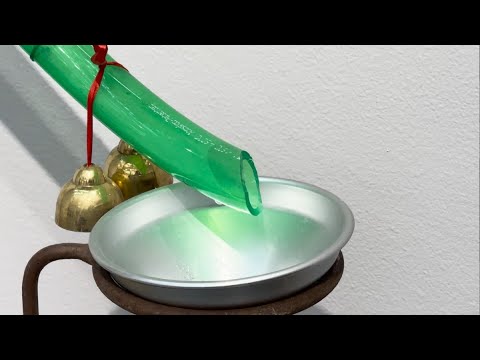 Yuko Mohri: Transforming Plant Fruit Decay into Melody and Meaning ...