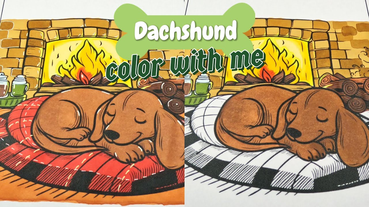 Warm Up Your Day: Coloring a Cozy Dachshund by the Fire! Dachshund Coloring Pages | Marker Tutorials