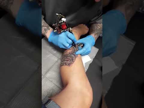 video 1566743802 cheshire cat tattoo video