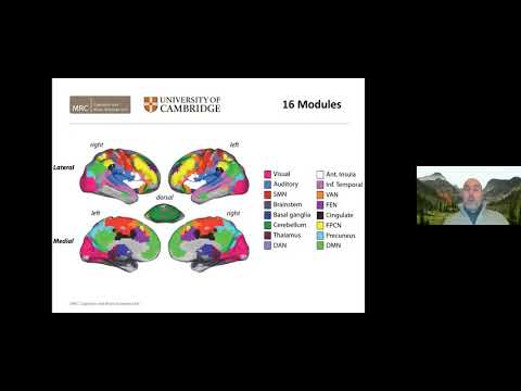 Relating Age, Brain, and Cognition: Results from the Cambridge Centre for Aging & Neuroscience
