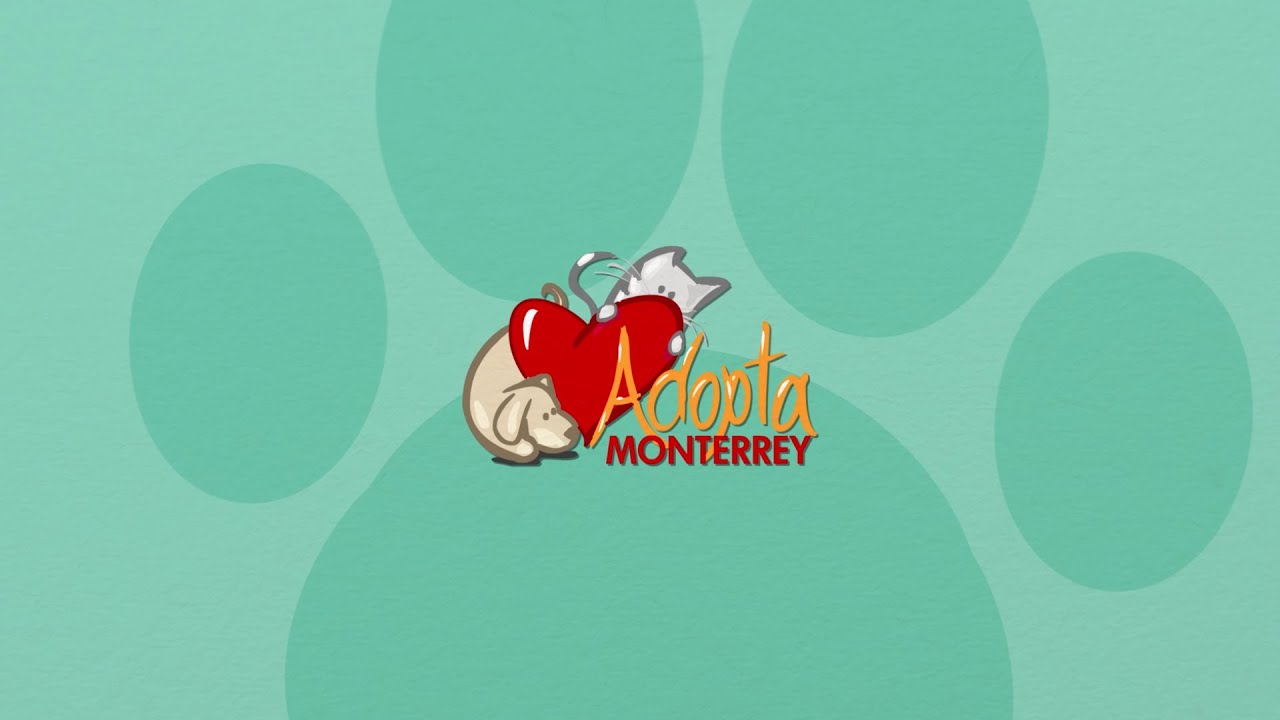 Adopta Monterrey