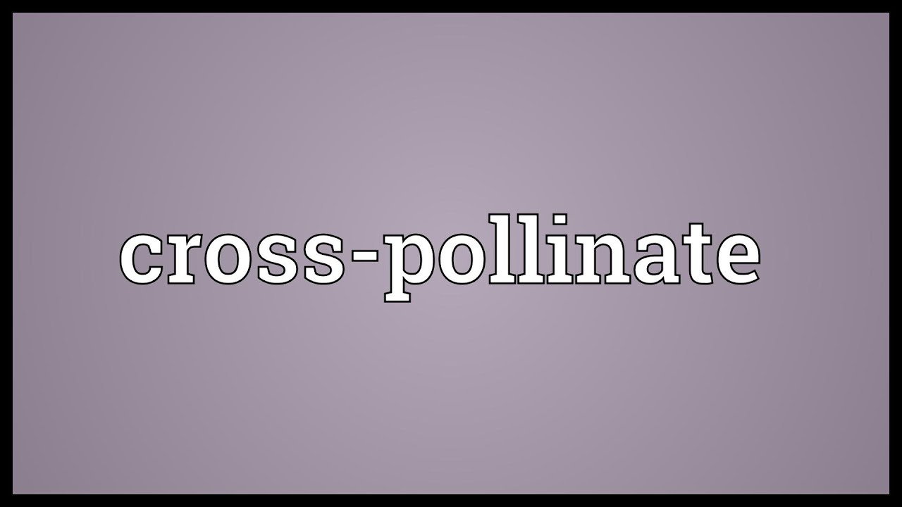 Cross-pollinate Meaning