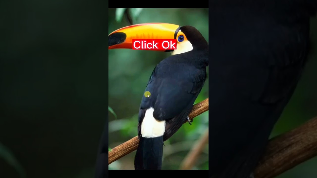 3 Simple Steps to speed up your PC 1. Press Windows+ R and type the following #pc #laptop #desktop