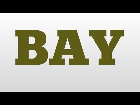 BAY meaning and pronunciation