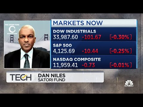 We were expecting a 'Santa Claus rally,' says The Satori Fund's Dan Niles