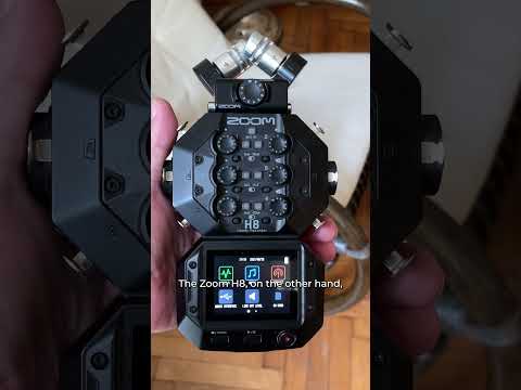 Do They Have Good Displays? Zoom H8 vs Sony PCM-D100