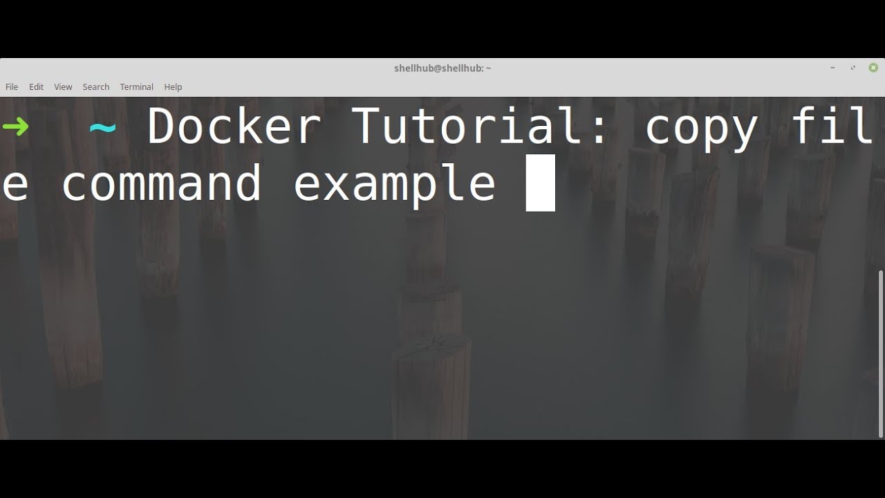 docker tutorial # Copying files from host to Docker container