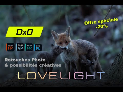 Retouche d’image avec la suite DxO ! PureRaw, FilmPack, Nik Collection, ViewPoint et PhotoLab
