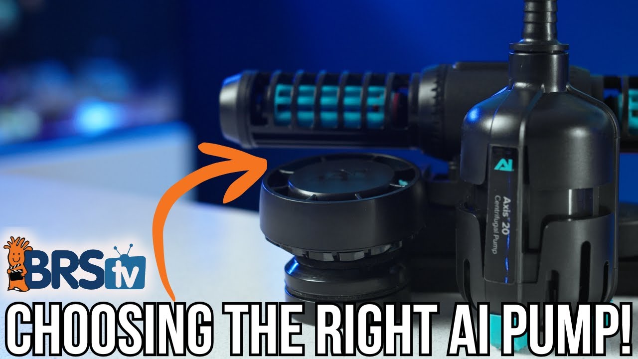 Reef Tank Flow Made Easy with AI Nero, Orbit & Axis Pumps