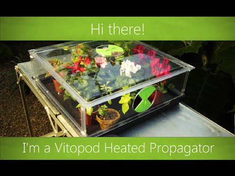Vitopod Electric Heated Propagator - Why Buy Me?