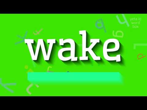 How to say "wake"! (High Quality Voices)