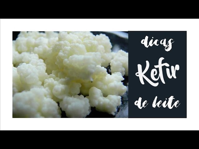 Kefir de leite – Passo a passo (como preparar; como fazer iogurte grego ...
