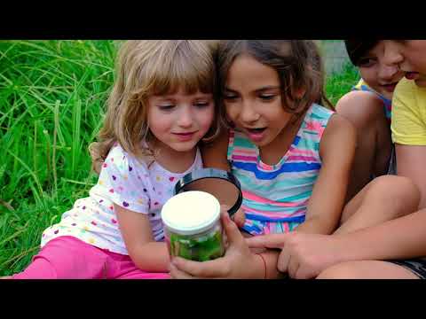 Curiosity & Wonder