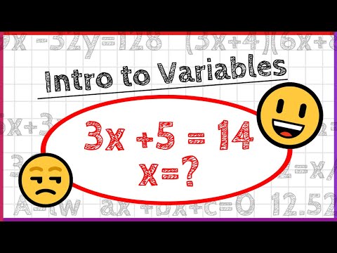 What Are Variables?