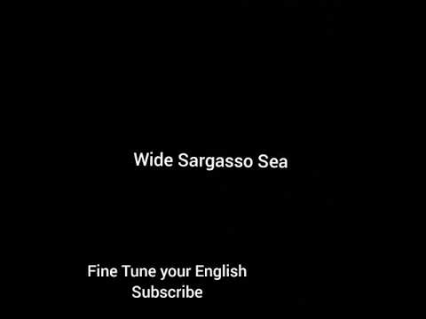 Wide Sargasso Sea by Jean Rhys long summary in English