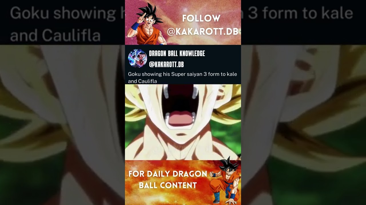 Goku Showing his Super Saiyan 3 form to Kale and Caulifla