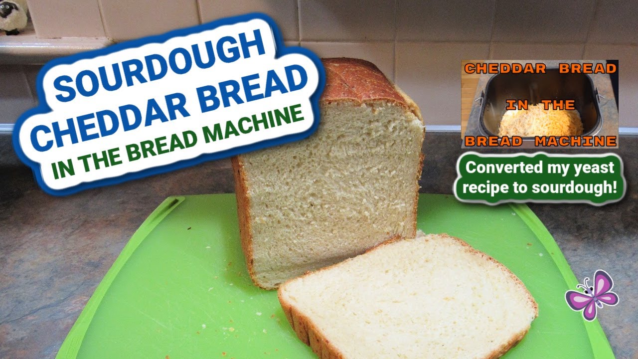 Sourdough Cheddar Bread in the Bread Machine!  Converting my Yeast Recipe to Sourdough!