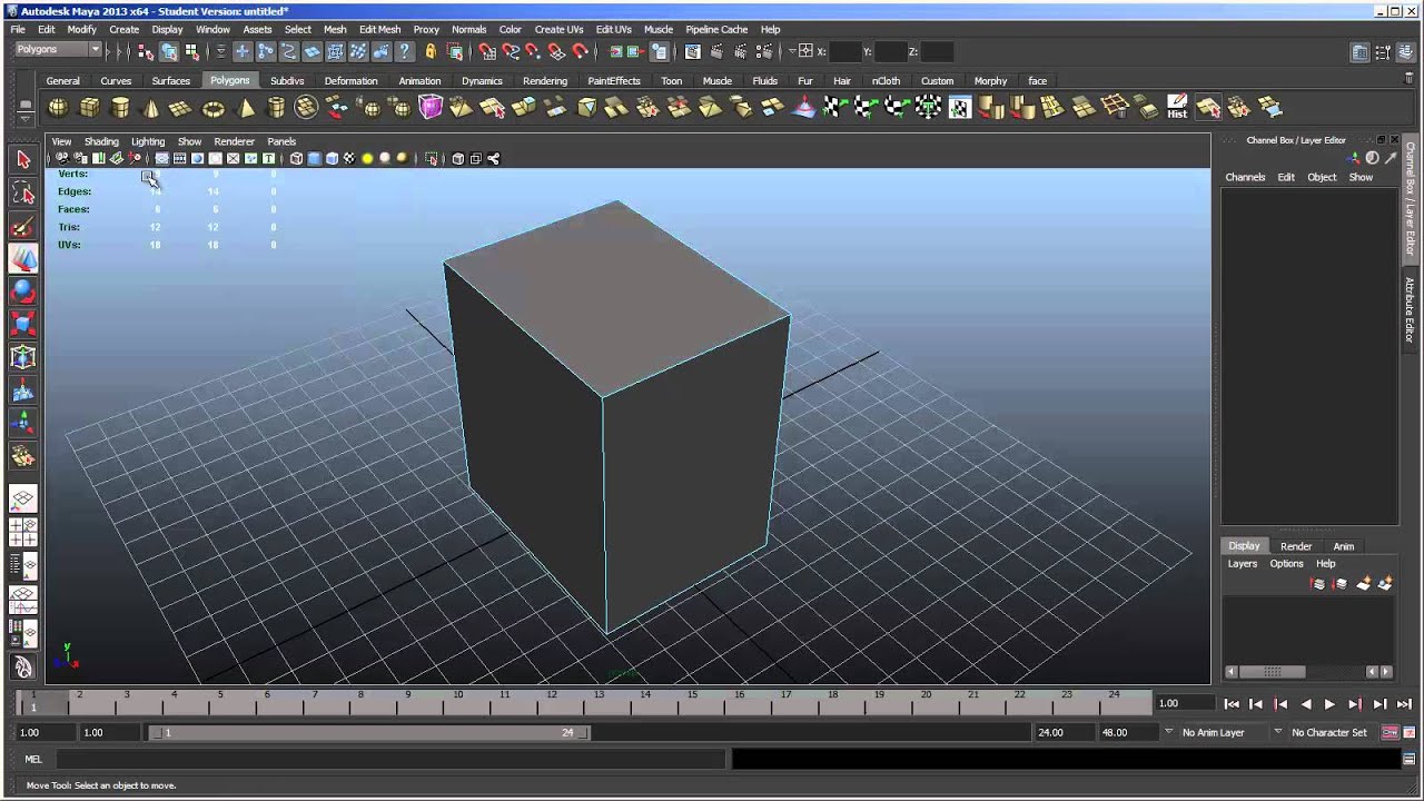 07 display polycount
