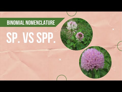 Binomial Nomenclature | Sp. vs. Spp.