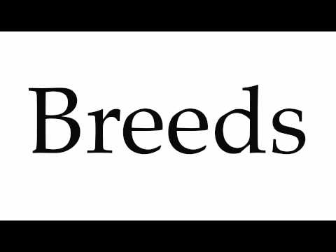 How to Pronounce Breeds