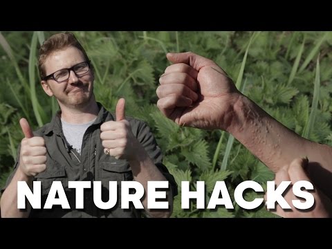 Nature Hacks: How to Soothe a Nettle Sting | BBC Earth Explore